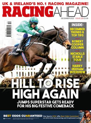 FALLING AT THE FINAL HURDLE | Racing Ahead - Sports - Read this story ...