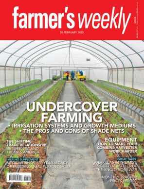 Undercover farming: big investment, greater returns - Read this story ...