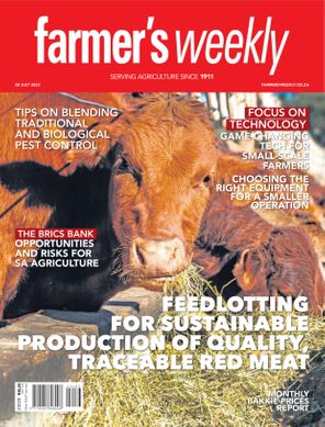 SHEEP: Bapedi sheep - the basics | Farmer's Weekly - Business - Read ...