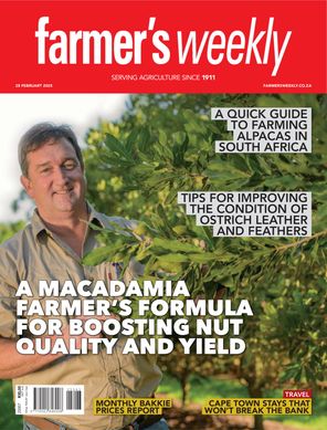 Protecting the king of the hornbills | Farmer's Weekly - Business - Read this story on Magzter.com