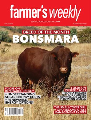 Outlook for dairy farmers in 2025 | Farmer's Weekly - Business - Read ...