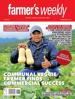 A walk back in time to the whaling days of The Bluff | Farmer's Weekly - Business - Read this ...