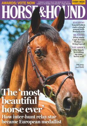 Remembering Ronnie - Read this story on Magzter.com