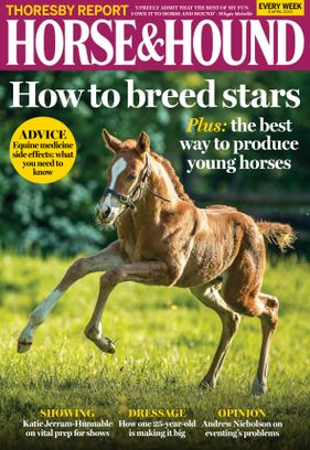 What makes a top event rider?
