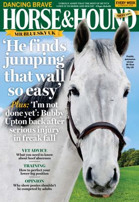 Equestrian model