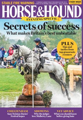 Sam Twiston-Davies | Horse & Hound - Animals Pets - Read this story on ...