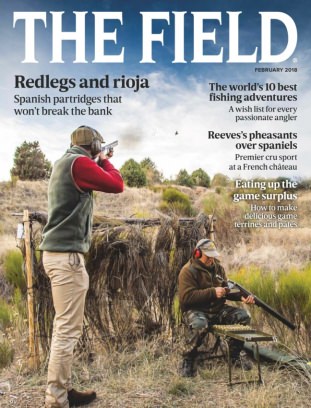 Becoming A Ballistics Bob