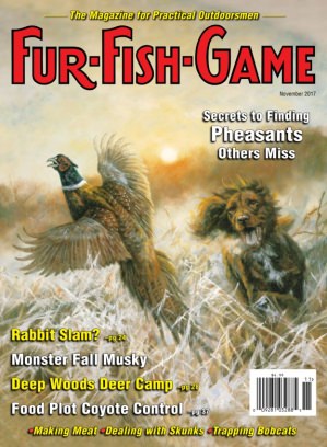Midseason Rooster Riddle