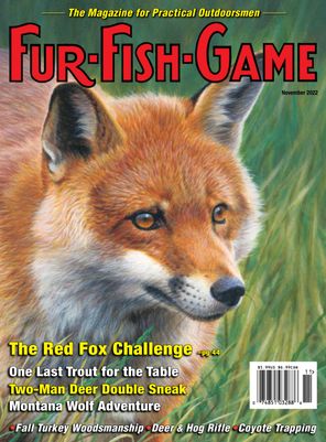 Lightweight and built to last 160 Conibear Coon Box | FUR-FISH-GAME ...