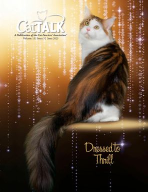 Saddle Thrombus (Blood Clots) in Cats | Cat Talk - Animals And Pets ...