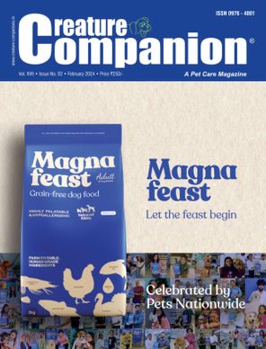 Feline Idiopathic Cystitis - FIC in cats | Creature Companions ...