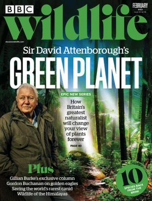 Sir David Attenborough's GREEN PLANET - Read this story on Magzter.com