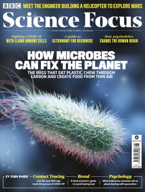 Reality Check - Science Behind The Headlines - Read this story on ...