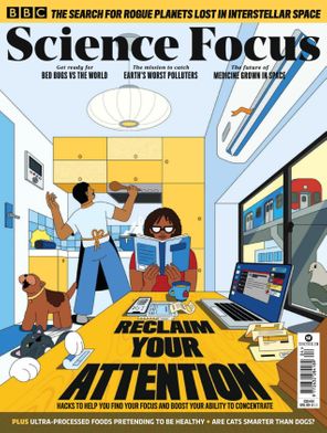 5 SIMPLE WAYS TO RECLAIM YOUR ATTENTION | BBC Science Focus - Science ...