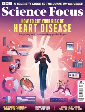 'Brain rot': is TikTok causing brain abnormalities? | BBC Science Focus - Science - Read this ...