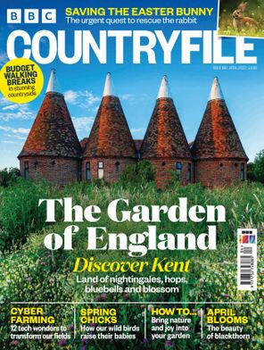 Discover: Kent - Spring in The Garden of England