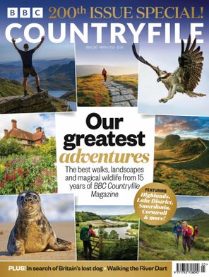 A rare breed - Read this story on Magzter.com