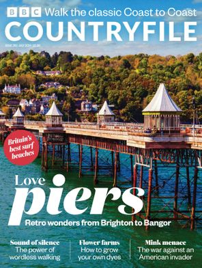 TOP 10 PIERS - Read this story on Magzter.com