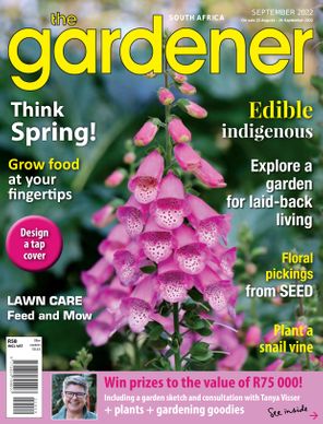 The world's most beautiful bean - Read this story on Magzter.com