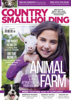 Celebrating 20 glorious years - Read this story on Magzter.com