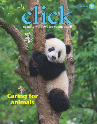 Helping Pandas