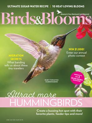 ULTIMATE GUIDE TO Hummingbirds | Birds & Blooms - Animals Pets - Read ...