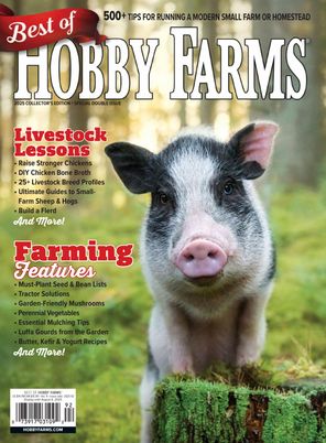 THE ULTIMATE SMALL-FARM HOG Guide | Hobby Farms - Gardening - Read this ...
