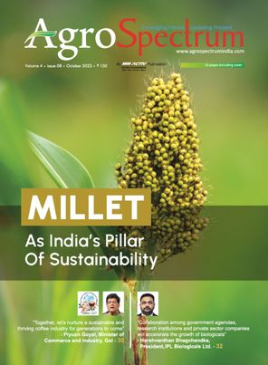 Millet as India's Pillar of Sustainability