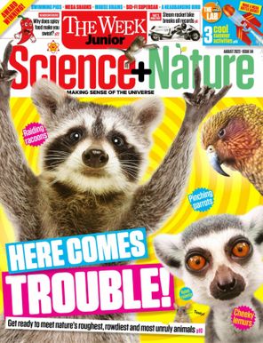Who invented music? | The Week Junior Science+Nature UK - Science ...