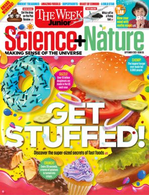 GET STUFFED! - Read this story on Magzter.com