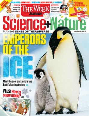 That's amazing! The best discoveries, inventions and surprises - Read ...