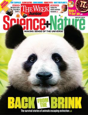 Ancient scroll decoded | The Week Junior Science+Nature UK - Science ...