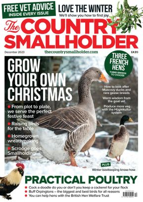 Feed your goats according to their individual needs | The Country ...