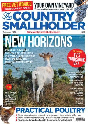 Meet the Bournemouth goats and their supporters | The Country ...