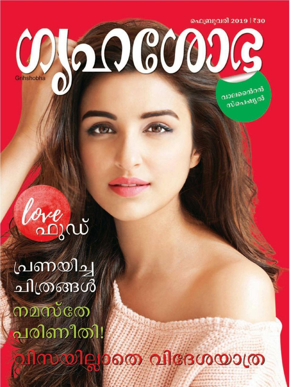 Get digital access to Grihshobha - Malayalam - February 2019 issue ...