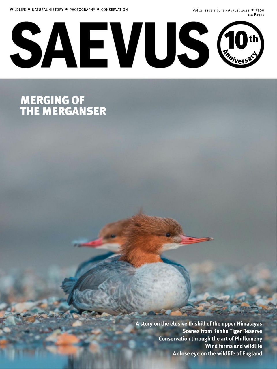 Saevus-June - August 2022 Magazine - Get your Digital Subscription