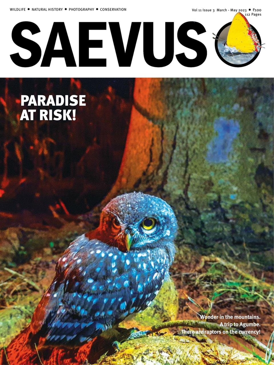 Saevus Magazine - Get your Digital Subscription