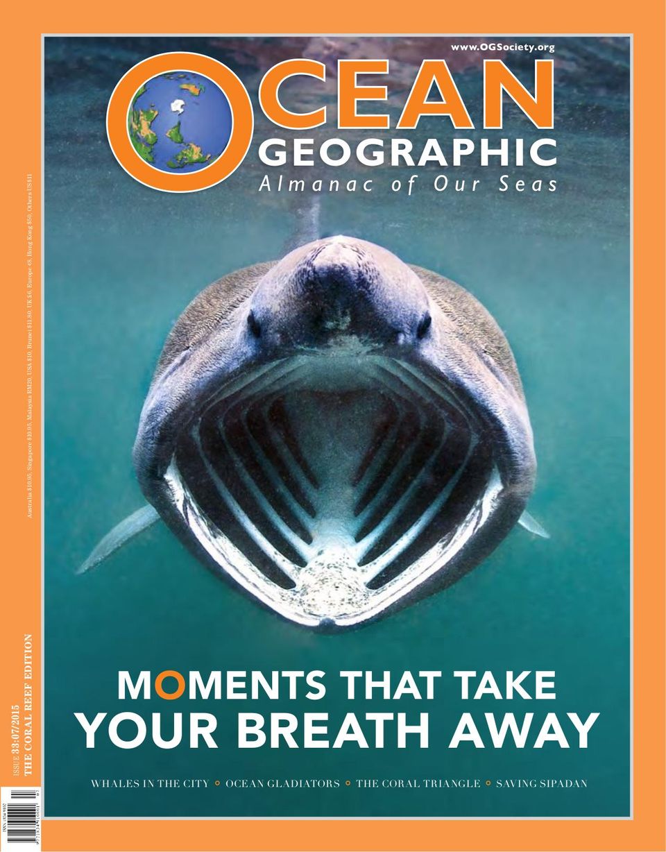 Get digital access to Ocean Geographic - Issue 33 issue | Magzter.com