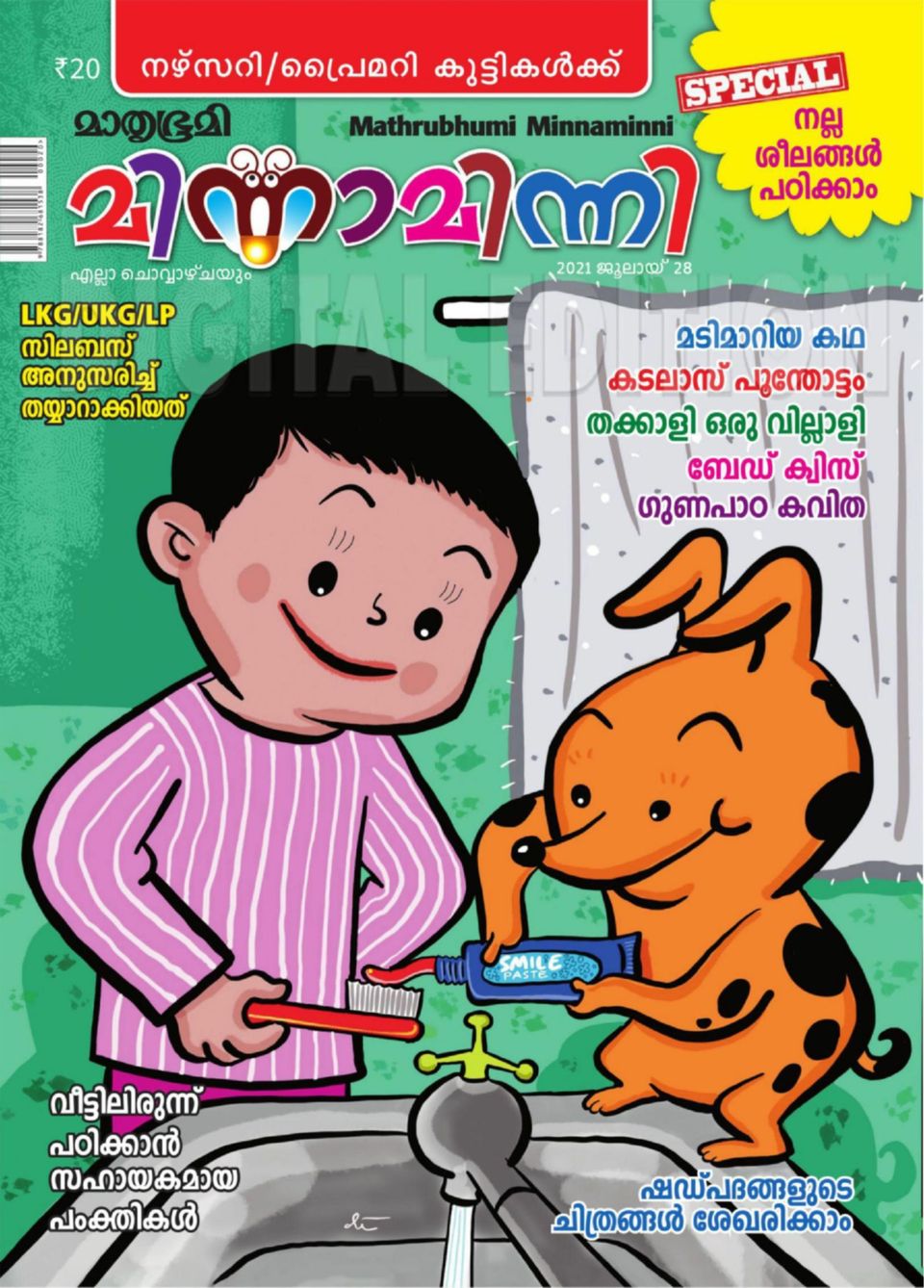 Minnaminni Magazine - Get your Digital Subscription