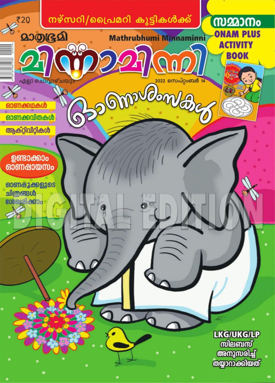 Minnaminni Magazine - Get your Digital Subscription