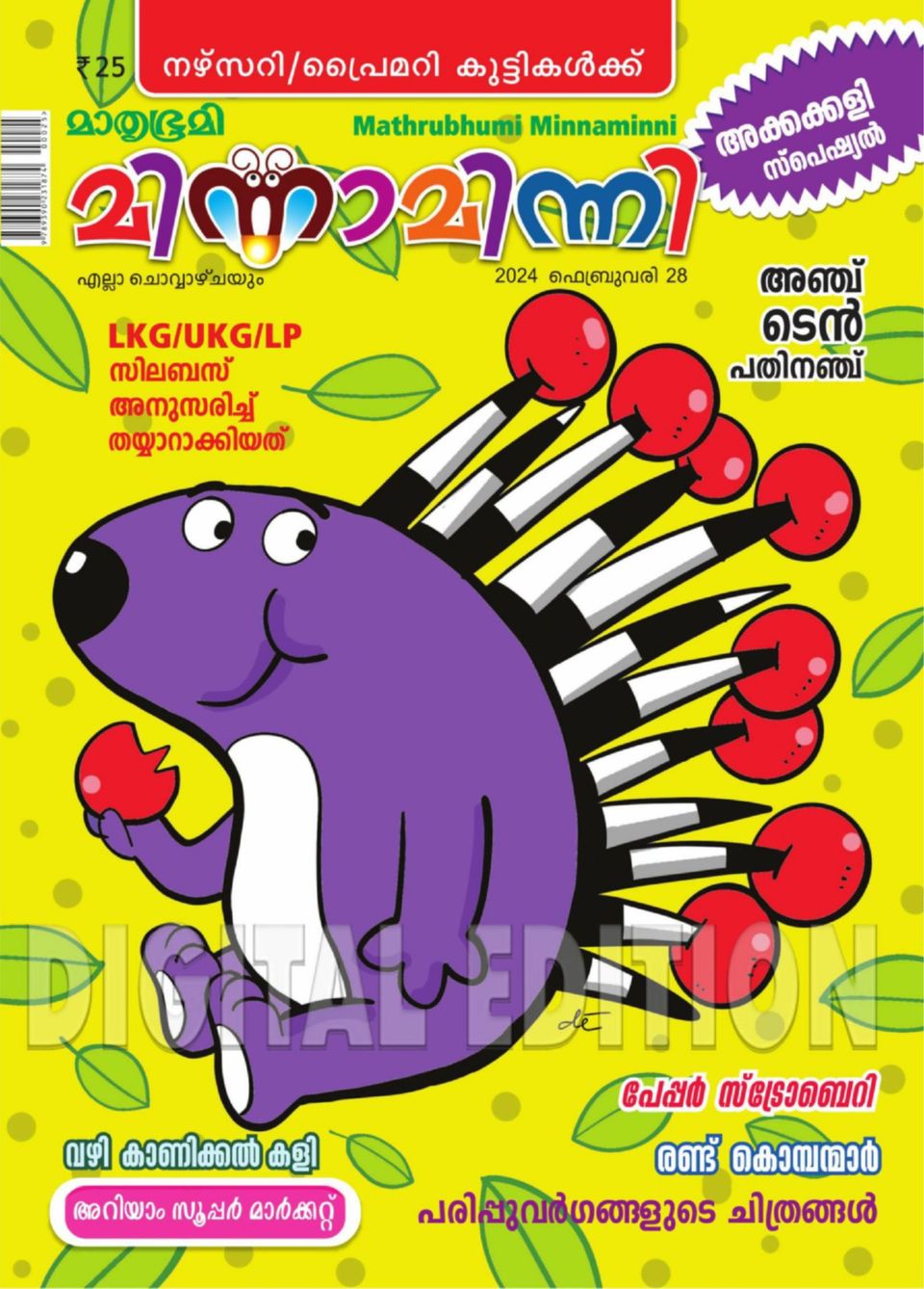 Minnaminni Magazine - Get your Digital Subscription