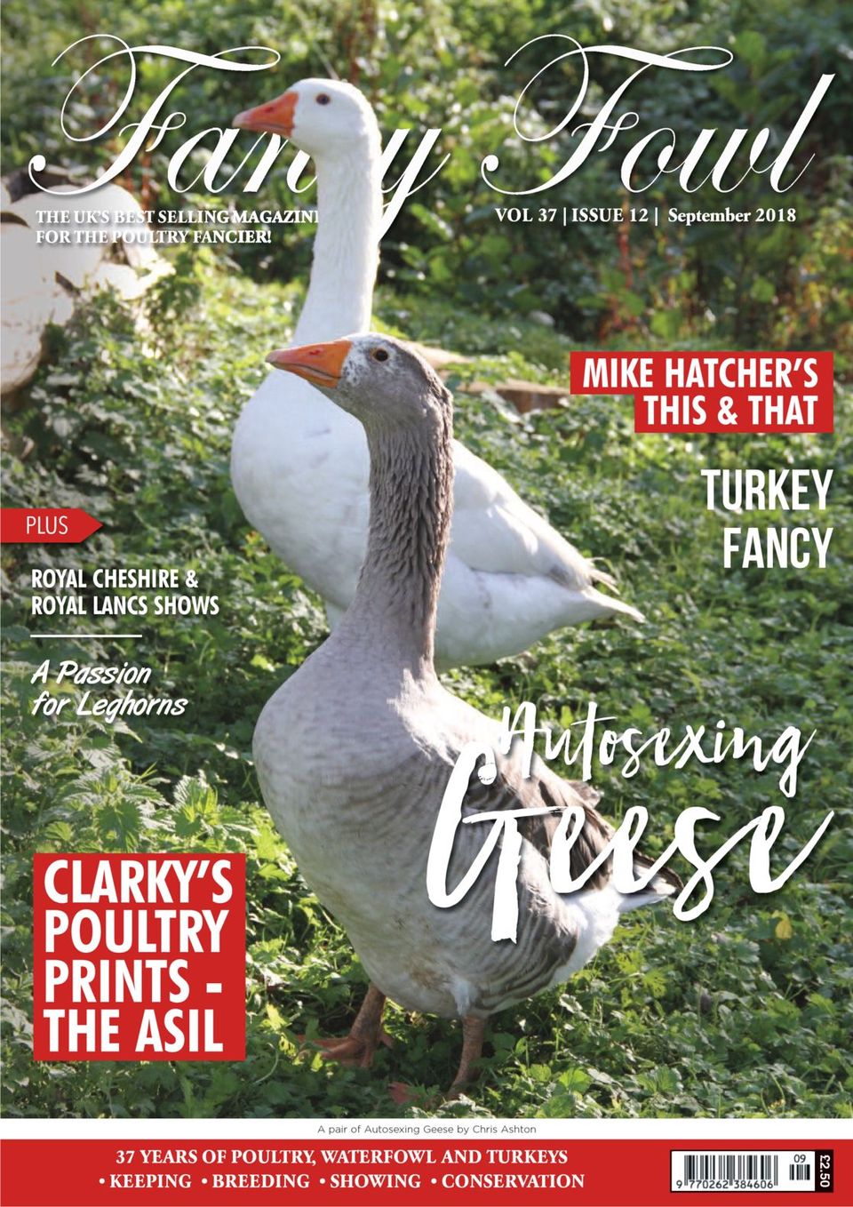 Get digital access to Fancy Fowl - September 2018 issue | Magzter.com