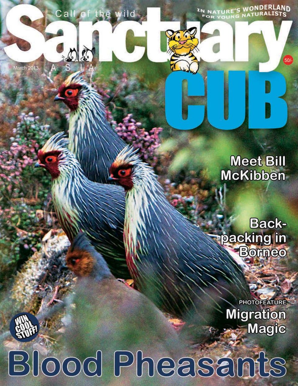 Sanctuary Cub-March 2013 Magazine - Get your Digital Subscription