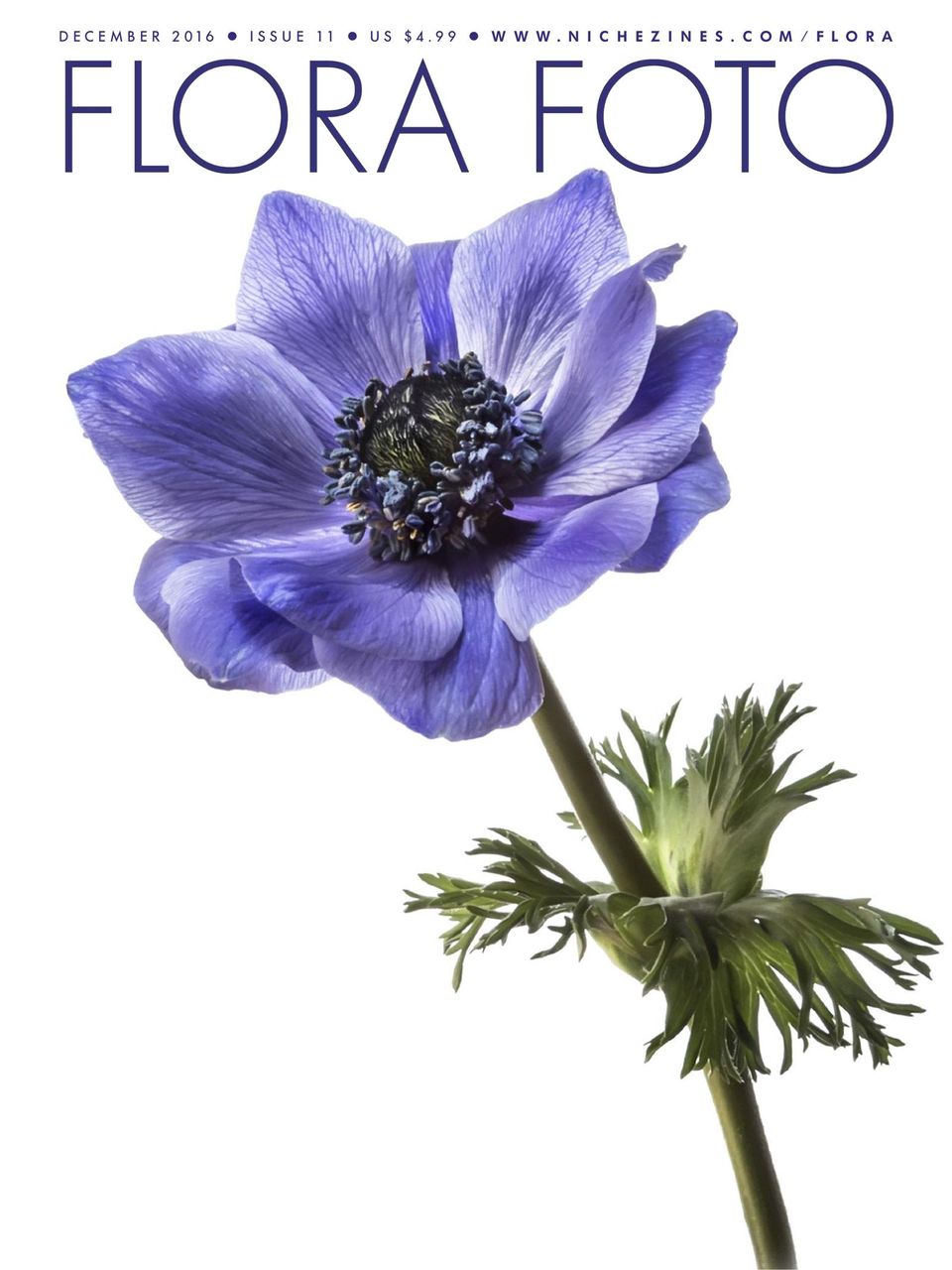 Get digital access to Flora Foto Magazine - Issue 11 issue | Magzter.com