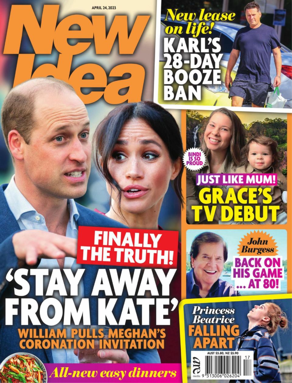 Get digital access to New Idea - April 24, 2023 issue | Magzter.com