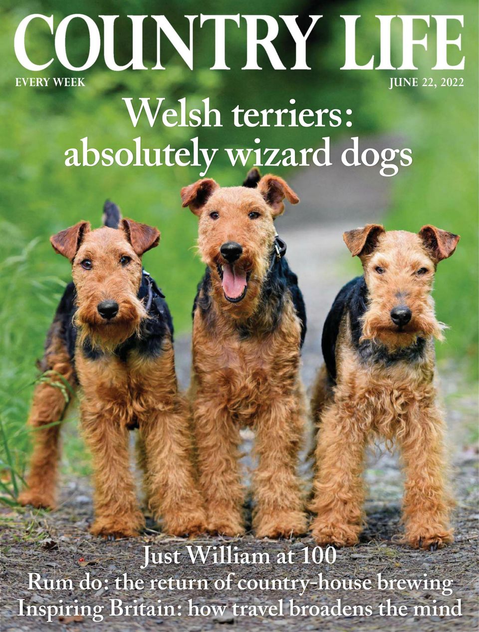 Country Life UK Magazine - Get your Digital Subscription