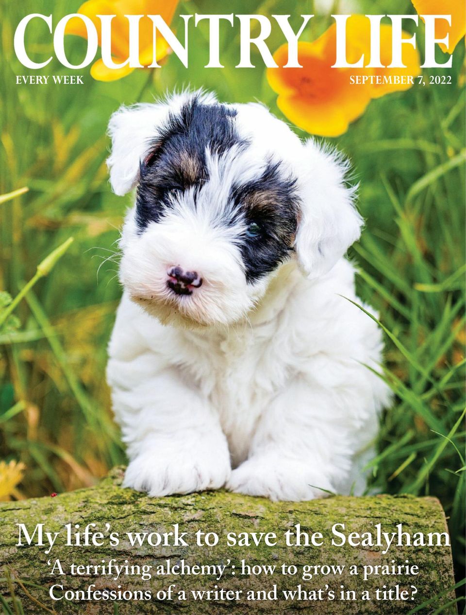 Country Life UK Magazine - Get your Digital Subscription