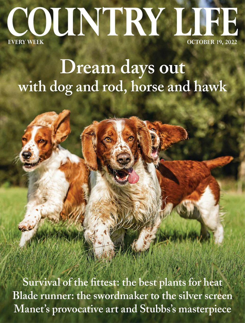 Get digital access to Country Life UK - October 19, 2022 issue | Magzter.com