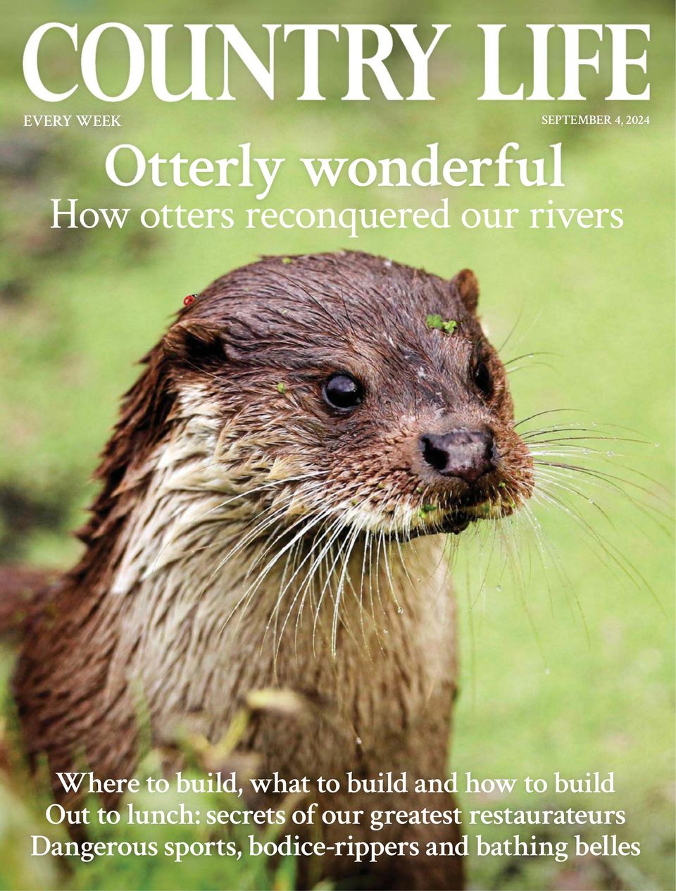 Get digital access to Country Life UK - September 04, 2024 issue | Magzter.com
