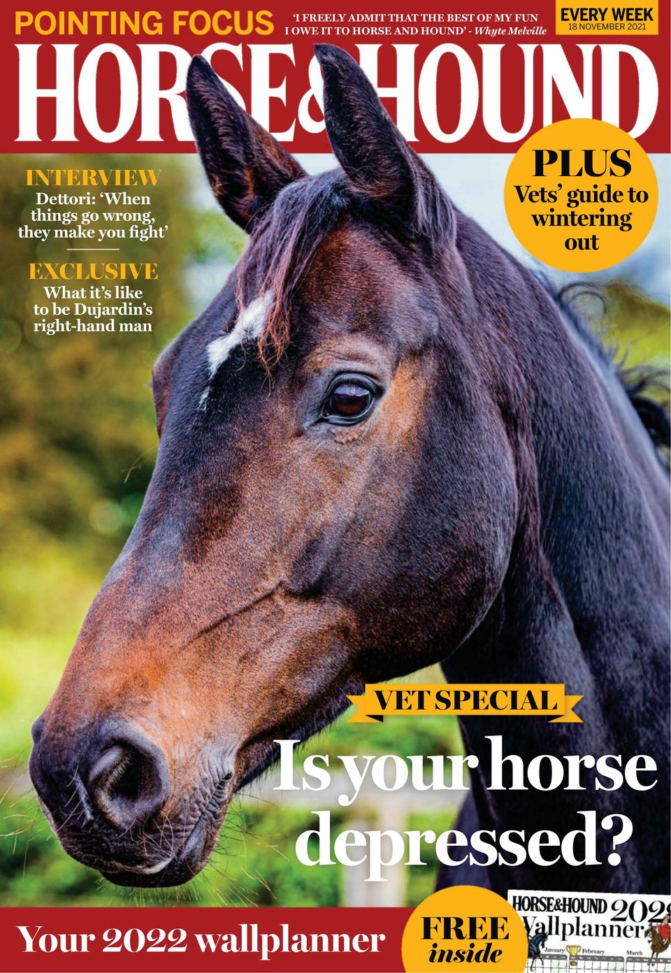 Get digital access to Viz - November 18, 2021 issue | Magzter.com